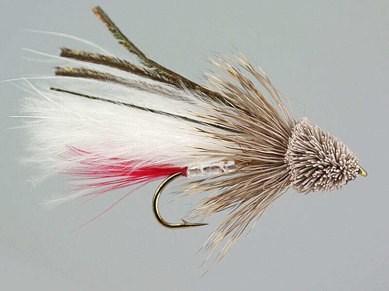 White Marabou