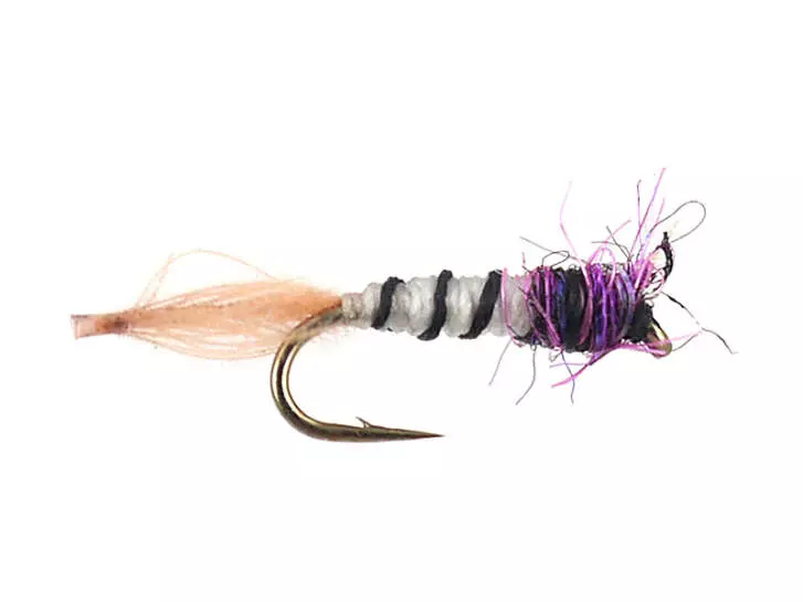 Caenis Transition Dun 22