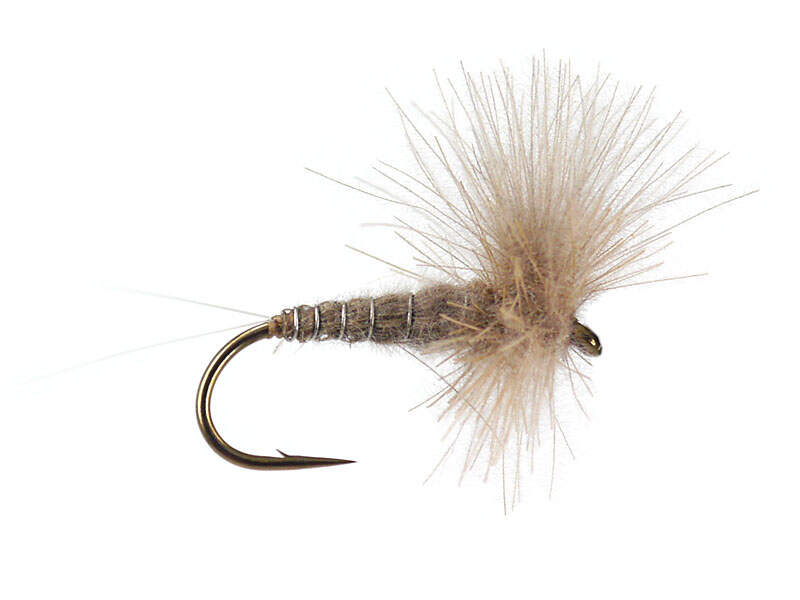 CDC Blue Dun