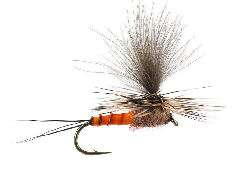 CDC Parachute (Olive Upright) - Brown Yellowish