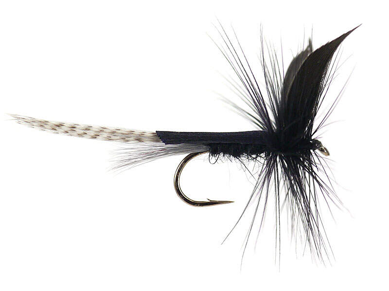 Black Mayfly Dun
