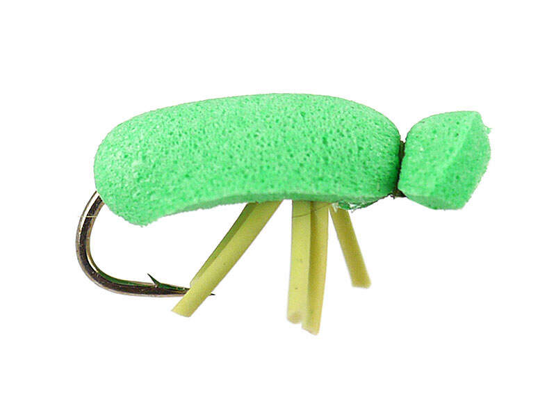 Green Beetle