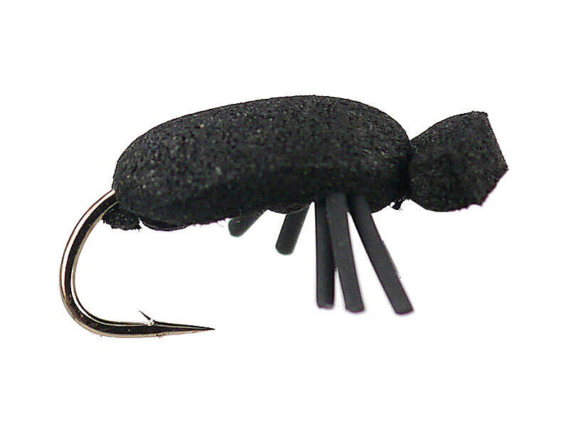 Black Beetle