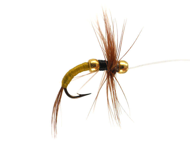 Yellow Double BH