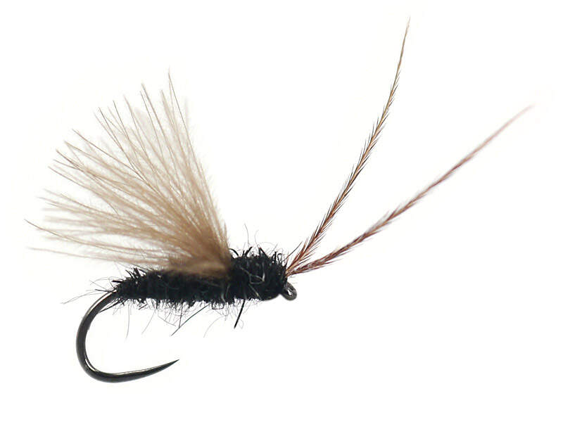 Small Black CDC Caddis BL